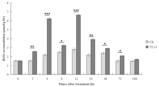 Antagonistic Activity and Potential Mechanisms of Endophytic Bacillus ...