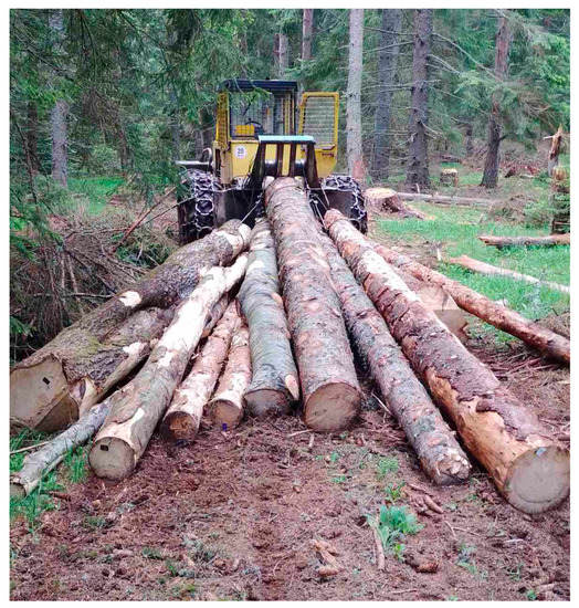 Damages of Skidder and Oxen Logging to Residual Trees in Uneven-Aged ...
