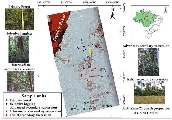Estimating Forest Above-Ground Biomass in Central Amazonia Using ...