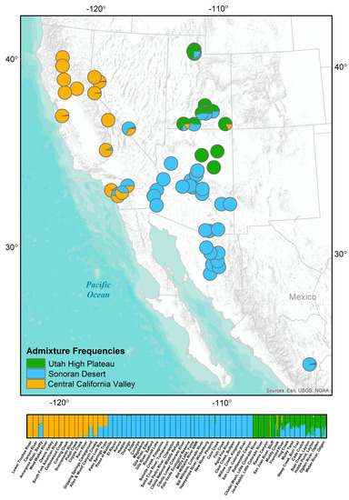 Forests | Free Full-Text | Microevolutionary Processes in a Foundation ...