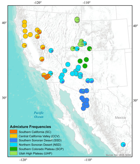 Forests | Free Full-Text | Microevolutionary Processes in a Foundation ...