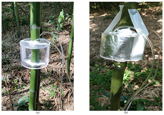 Forests | Free Full-Text | The “Oxygen Sink” of Bamboo Shoots Regulates ...