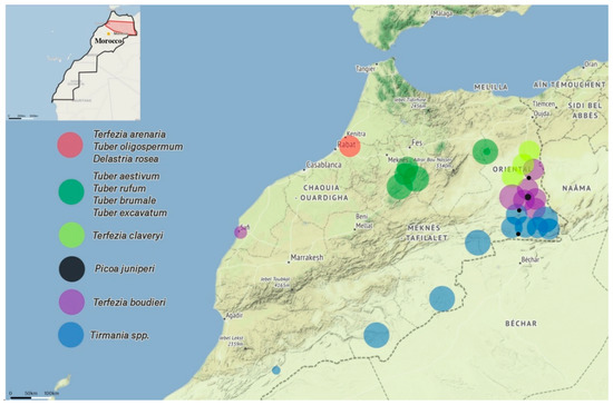 Forests | Free Full-Text | Updating Ecology and Distribution of Wild ...
