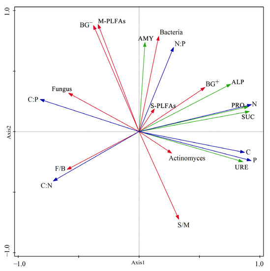 Responses of Soil C, N, and P Stoichiometrical Characteristics, Enzyme ...