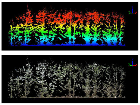 Estimation of Aboveground Carbon Stocks in Forests Based on LiDAR and Multispectral Images: A ...
