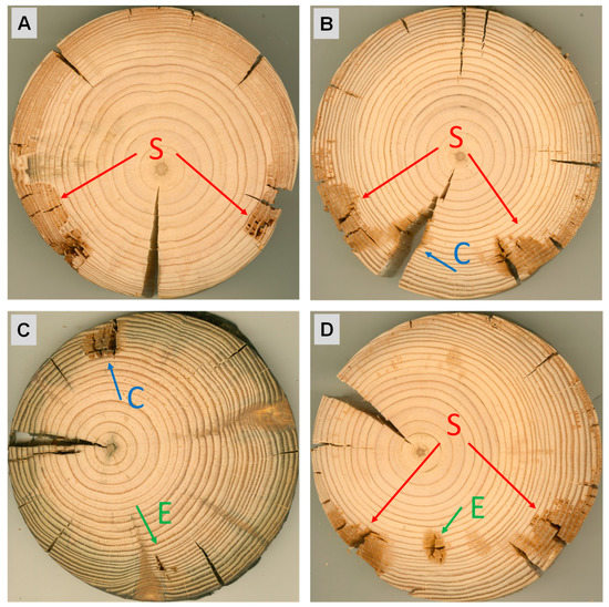 Laboratory Durability Testing of Preservative-Treated Wood Products