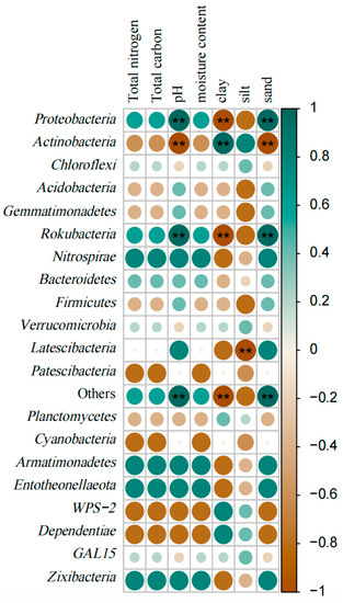 Soil Microbial Community Composition and Diversity Analysis under Different Land Use Patterns in ...