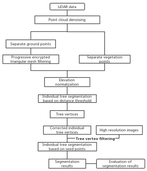 An Individual Tree Segmentation Method That Combines LiDAR Data and ...