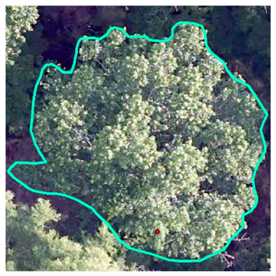 An Individual Tree Segmentation Method That Combines LiDAR Data and ...