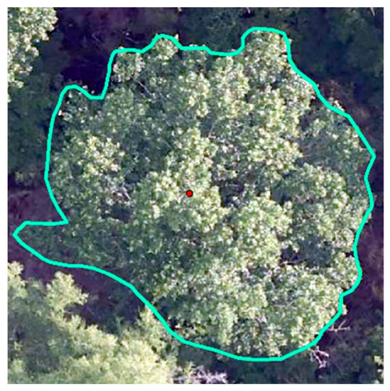An Individual Tree Segmentation Method That Combines LiDAR Data and ...