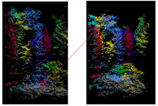 An Individual Tree Segmentation Method That Combines LiDAR Data and ...