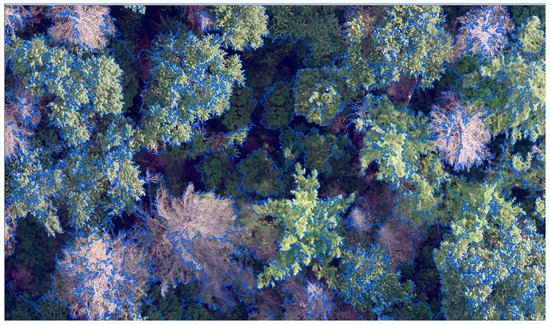 An Individual Tree Segmentation Method That Combines LiDAR Data and ...