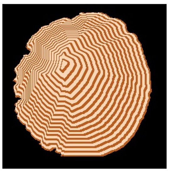 Visualization Simulation of Branch Fractures Based on Internal ...