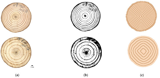 Visualization Simulation of Branch Fractures Based on Internal Structure Reconstruction