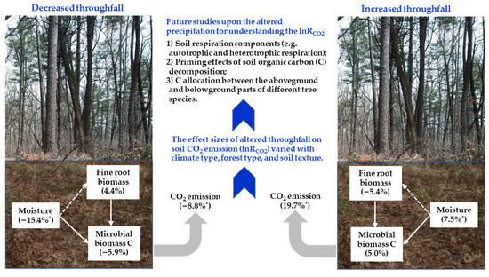 Forests | Free Full-Text | Effect of Changes in Throughfall on Soil ...