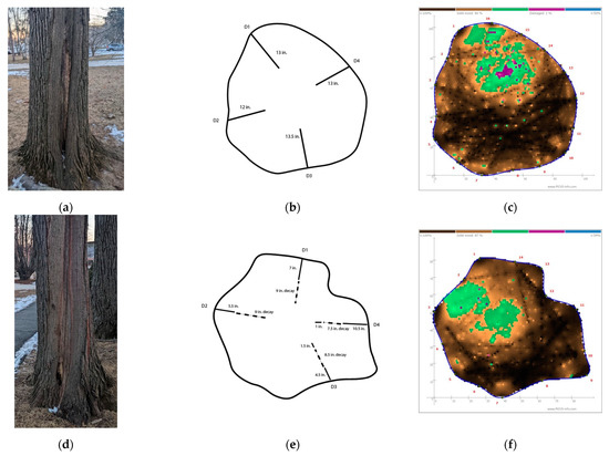 Assessing the Likelihood of Failure Due to Stem Decay Using Different ...