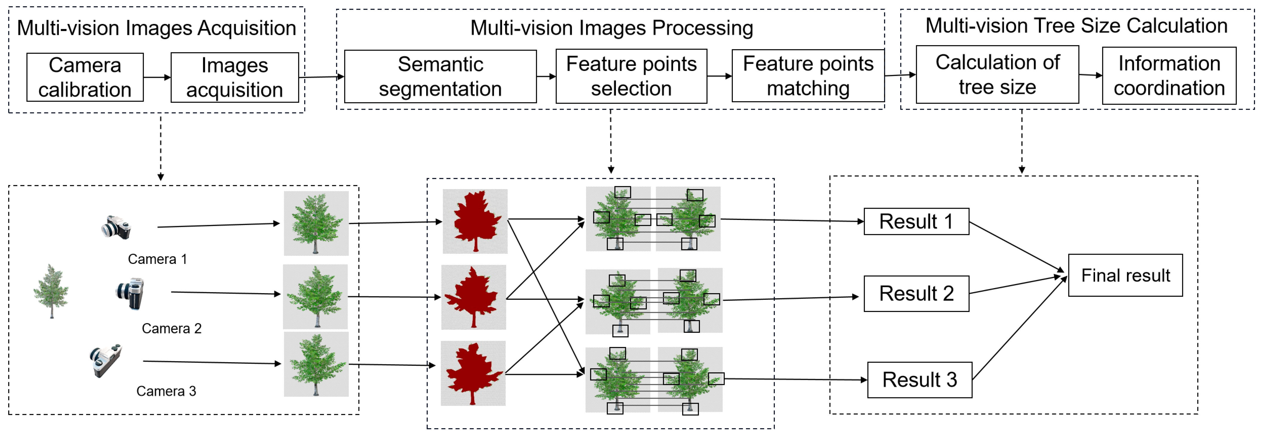 Forests | Free Full-Text | MISF: A Method for Measurement of Standing ...