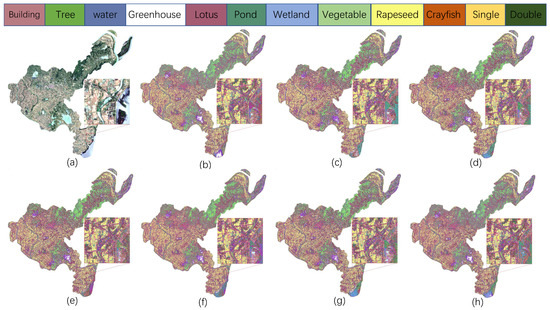Forests | Free Full-Text | MARC-Net: Terrain Classification in Parallel Network Architectures ...