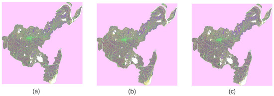 Forests | Free Full-Text | MARC-Net: Terrain Classification in Parallel Network Architectures ...