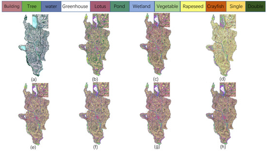 Forests | Free Full-Text | MARC-Net: Terrain Classification in Parallel Network Architectures ...
