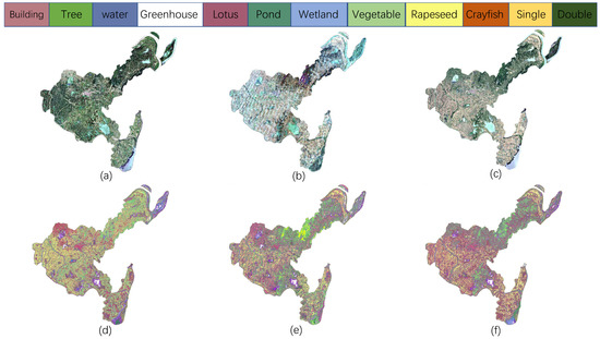 Forests | Free Full-Text | MARC-Net: Terrain Classification in Parallel Network Architectures ...