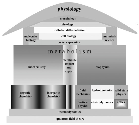 Intrinsic Regulation of Diameter Growth in Woody Plants