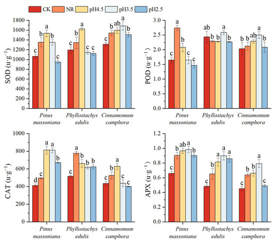Effects of Acid Rain Stress on the Physiological and Biochemical ...