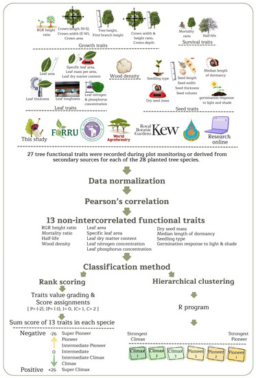 Use of Functional Traits to Distinguish Successional Guilds of Tree ...