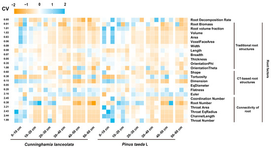 Soil Depth Can Modify the Contribution of Root System Architecture to ...