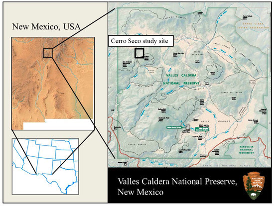Influence of Mixed Conifer Forest Thinning and Prescribed Fire on Soil ...