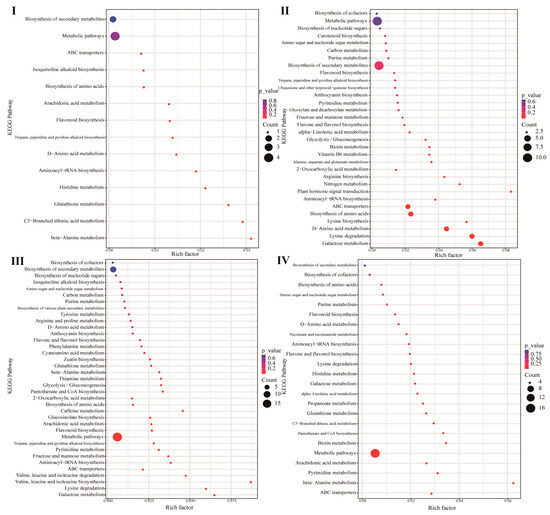 Spermosphere Bacteria Promote Ormosia henryi Seed Germination by ...