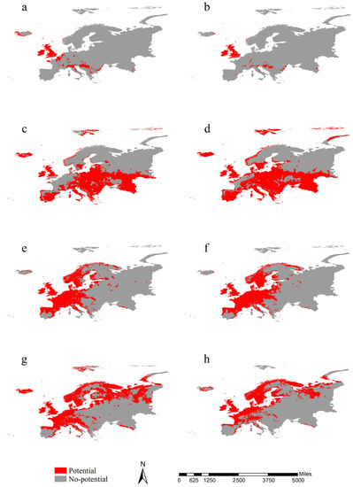 Future Range Dynamics Suggest Increasing Threats of Grey Squirrels ...