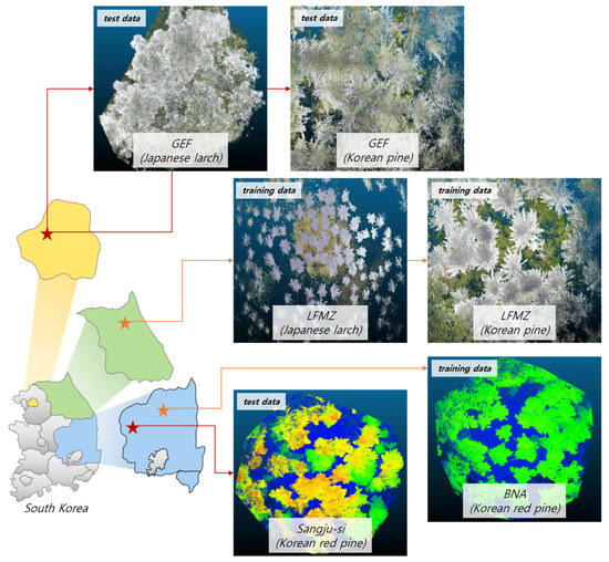 Automated Segmentation of Individual Tree Structures Using Deep Learning over LiDAR Point Cloud Data