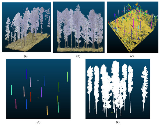 Forests | Free Full-Text | Automated Segmentation of Individual Tree Structures Using Deep ...