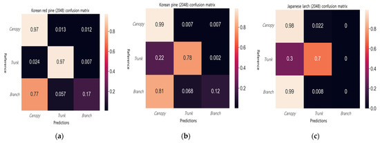 Automated Segmentation of Individual Tree Structures Using Deep Learning over LiDAR Point Cloud Data