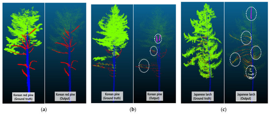 Automated Segmentation of Individual Tree Structures Using Deep Learning over LiDAR Point Cloud Data