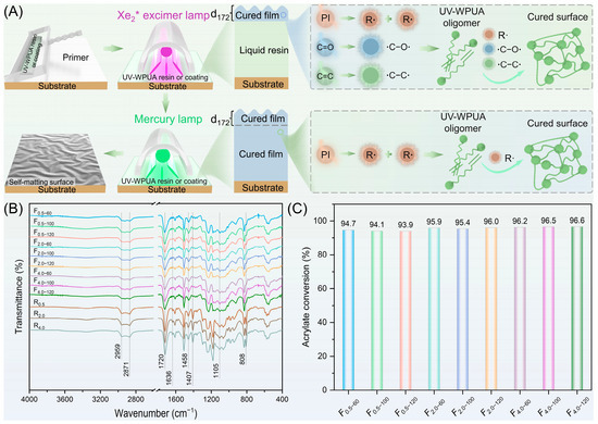 Effect of Photoinitiator Concentration and Film Thickness on the ...