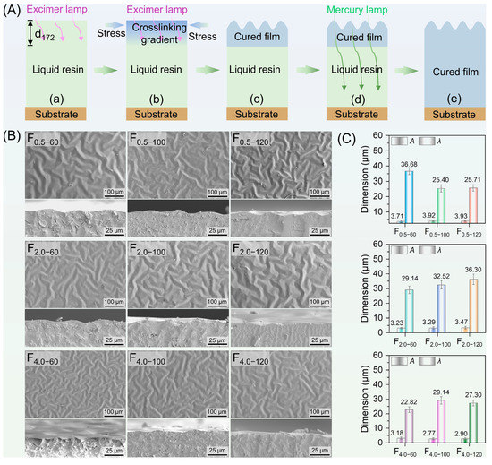 Effect of Photoinitiator Concentration and Film Thickness on the ...