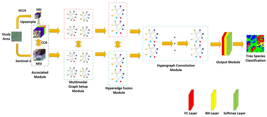 Semi-Supervised Tree Species Classification for Multi-Source Remote Sensing Images Based on a ...