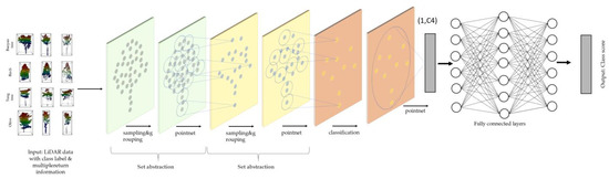 Tree Species Classification Based on PointNet++ and Airborne Laser Survey Point Cloud Data ...