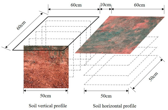 Preferential Flow and Preferential Path Characteristics of the Typical ...