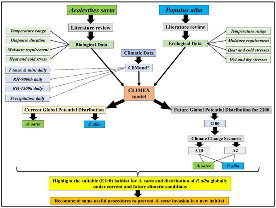 Assessing the Global Pest Risk of Aeolesthes sarta with Regards to the ...