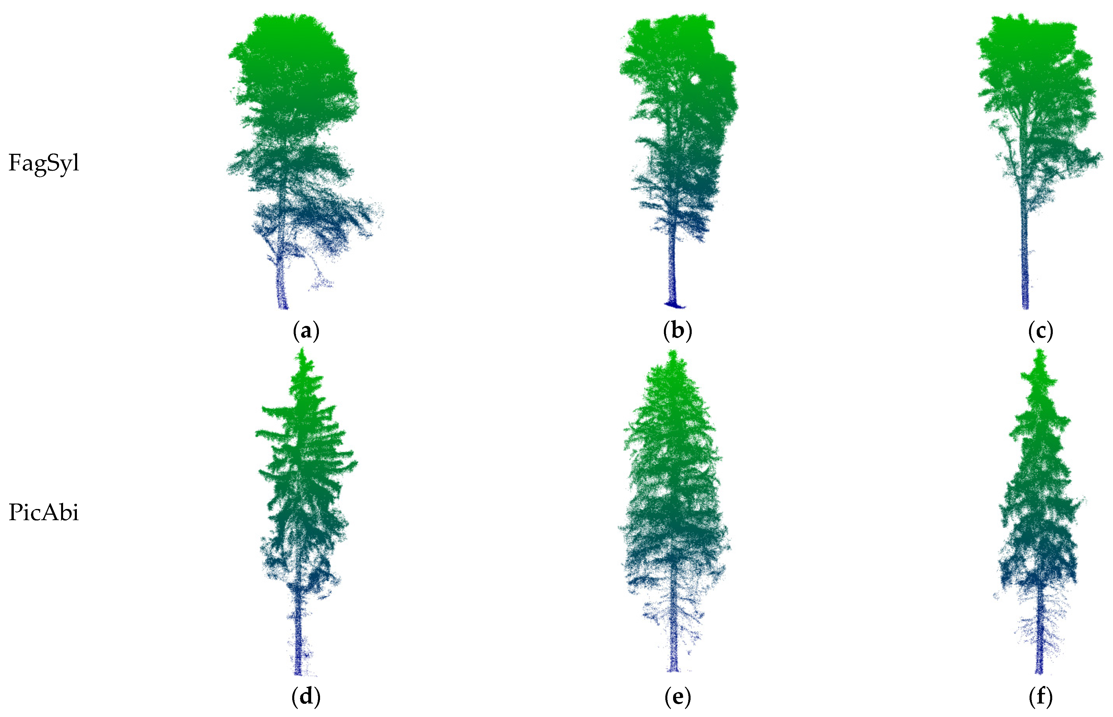 Tree Species Classification Using Optimized Features Derived From Light Detection And Ranging