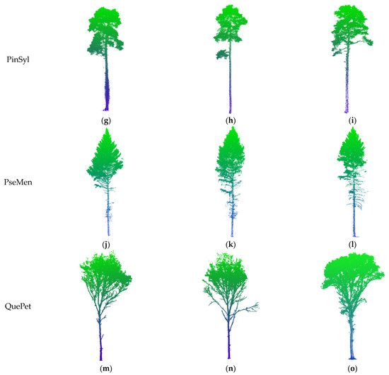 Tree Species Classification Using Optimized Features Derived from Light ...