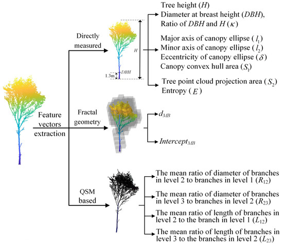 Tree Species Classification Using Optimized Features Derived from Light ...