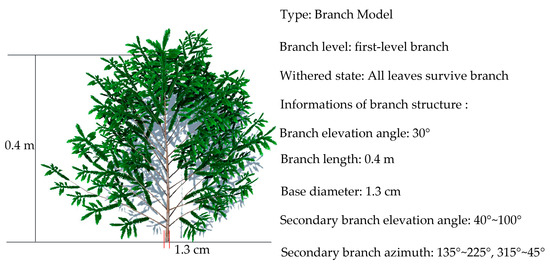 Constructing Coupling Model of Generalized B-Spline Curve and Crown ...