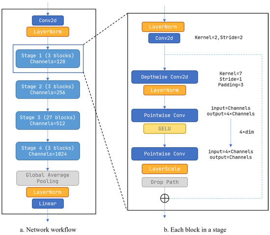 Forests | Free Full-Text | Improvement and Assessment of Convolutional ...