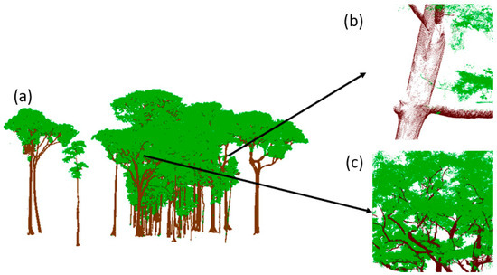 LWSNet: A Point-Based Segmentation Network for Leaf-Wood Separation of ...