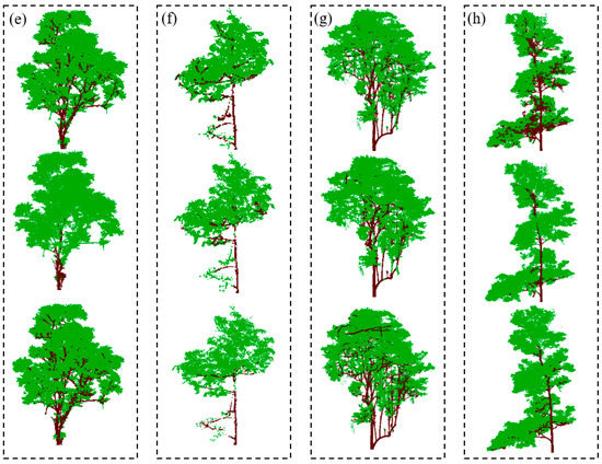 LWSNet: A Point-Based Segmentation Network for Leaf-Wood Separation of Individual Trees