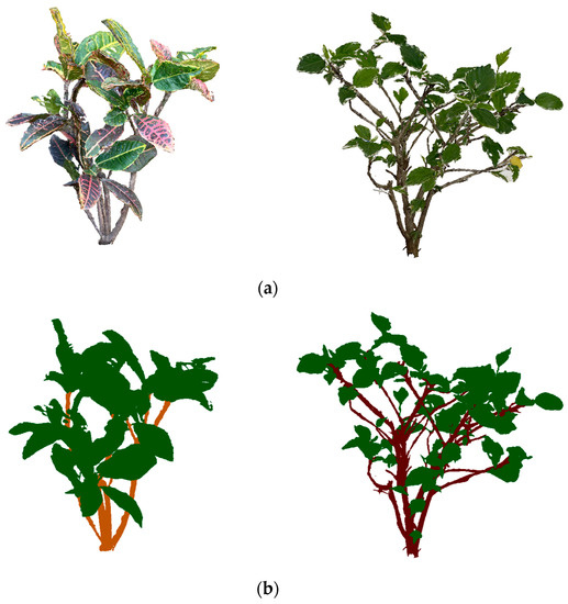 LWSNet: A Point-Based Segmentation Network for Leaf-Wood Separation of ...